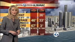 Hally Vogel - WXYZ 7 Detroit - TvNewsCaps